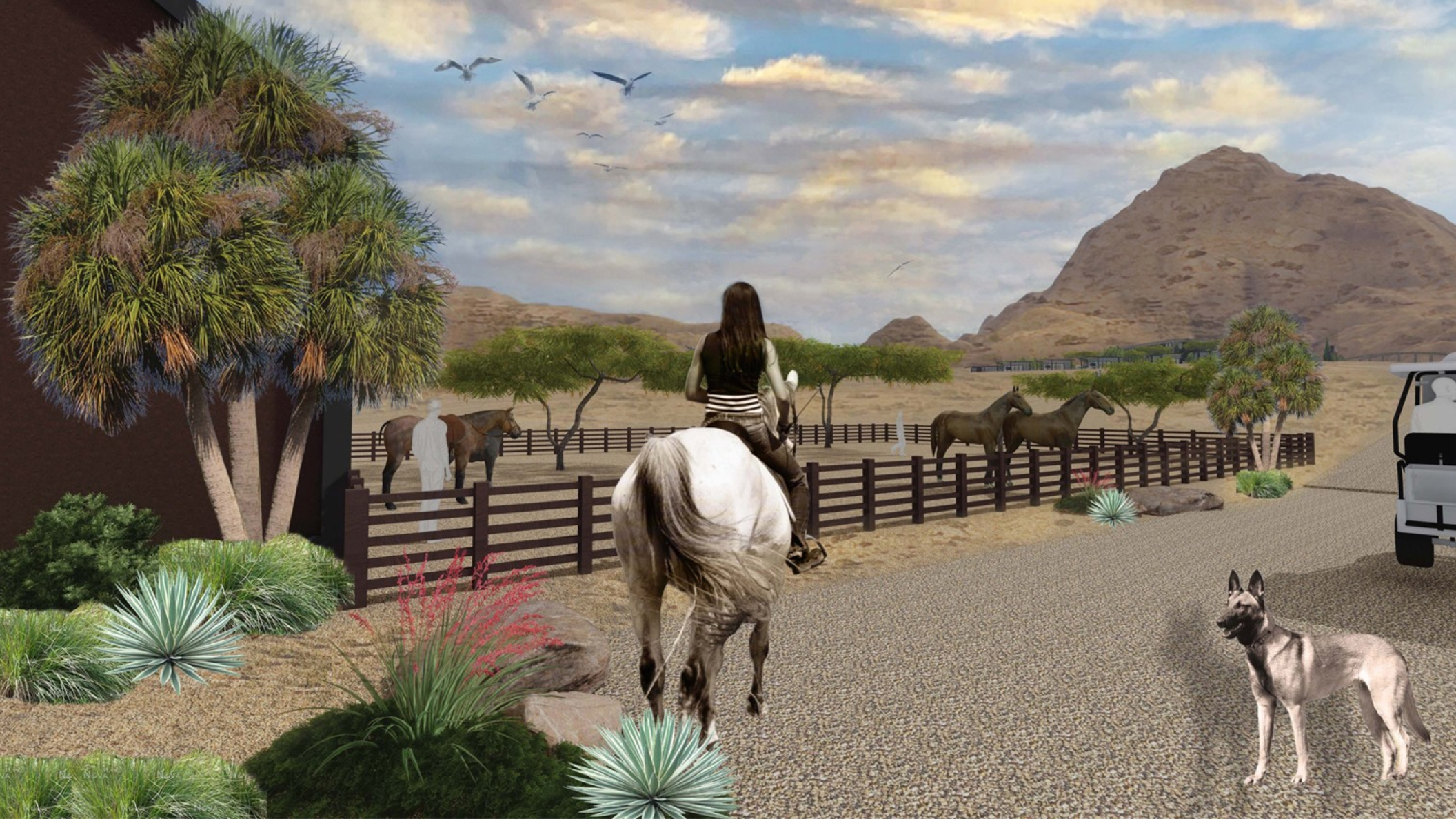 3D Rendering & Visualization - KWD Landscape Architecture